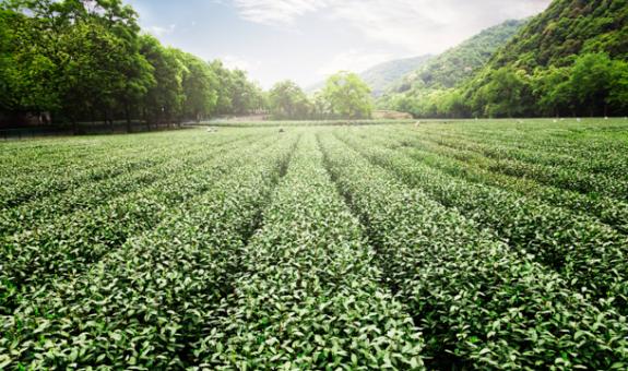 Serving Our Communities | Spire Inc.