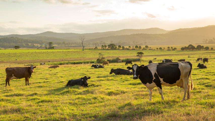 Why Choose Gas | Spire